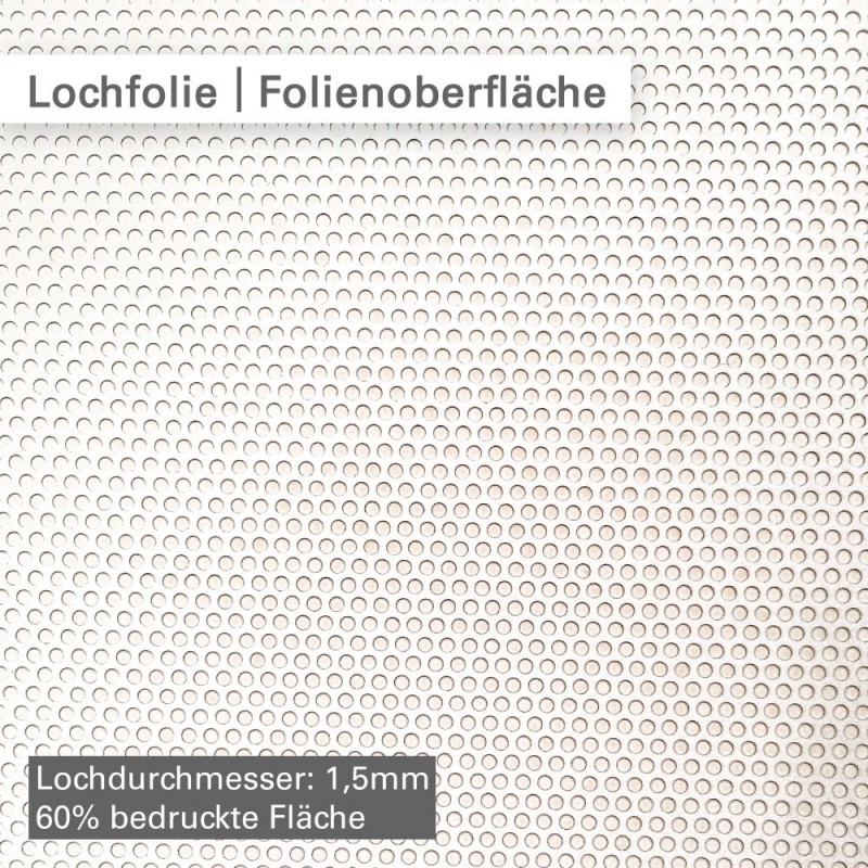 Lochfolie – Window Graphics | günstig bedruckt bei SalierDruck.de